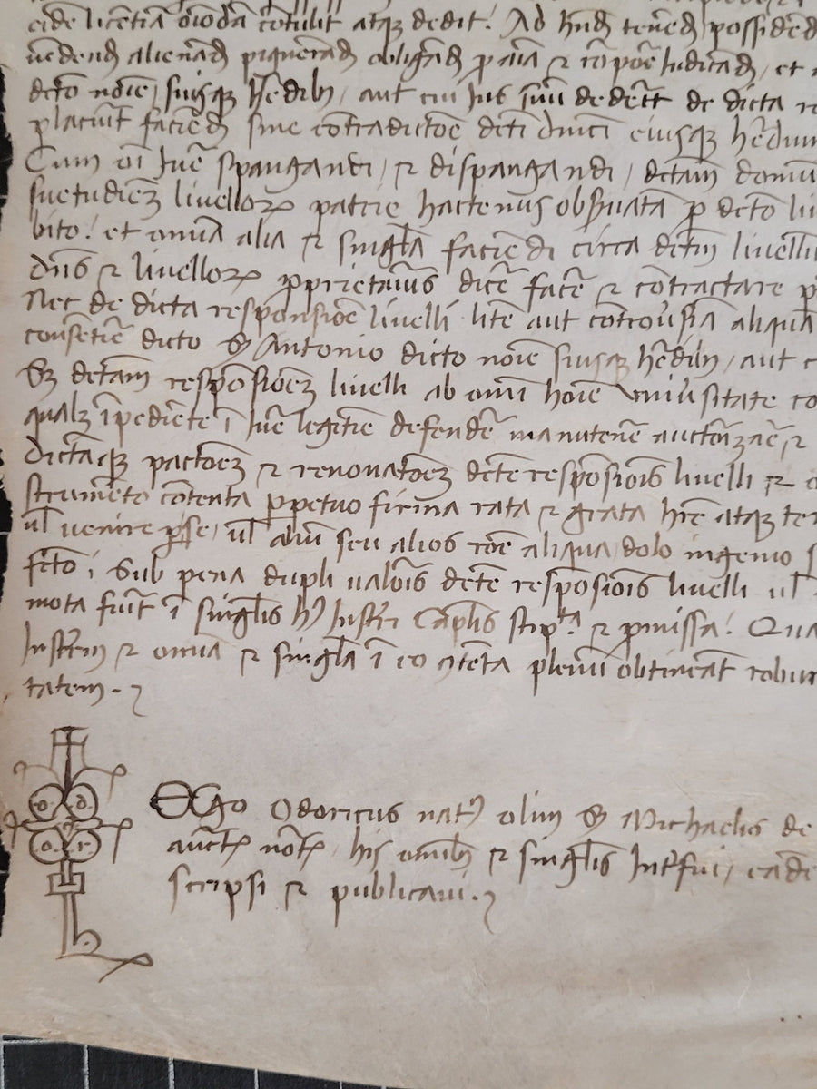 Medieval Charter. Manuscript on Parchment, January 7 1442. No 5 – That ...