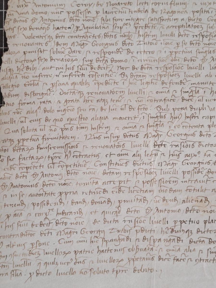 Medieval Charter. Manuscript on Parchment, January 7 1442. No 31 – That ...