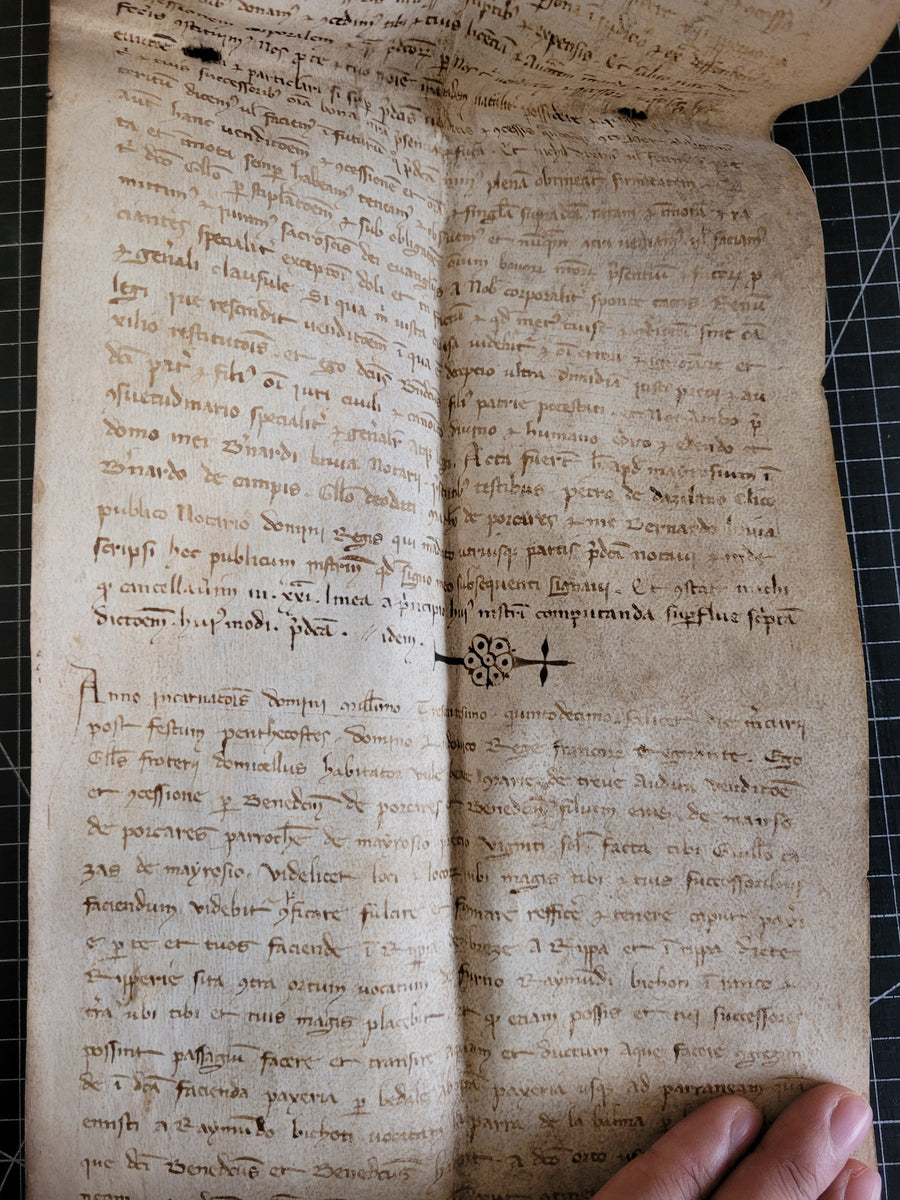 Medieval Charter. Manuscript on Parchment, 1314 – That Guy With The Books