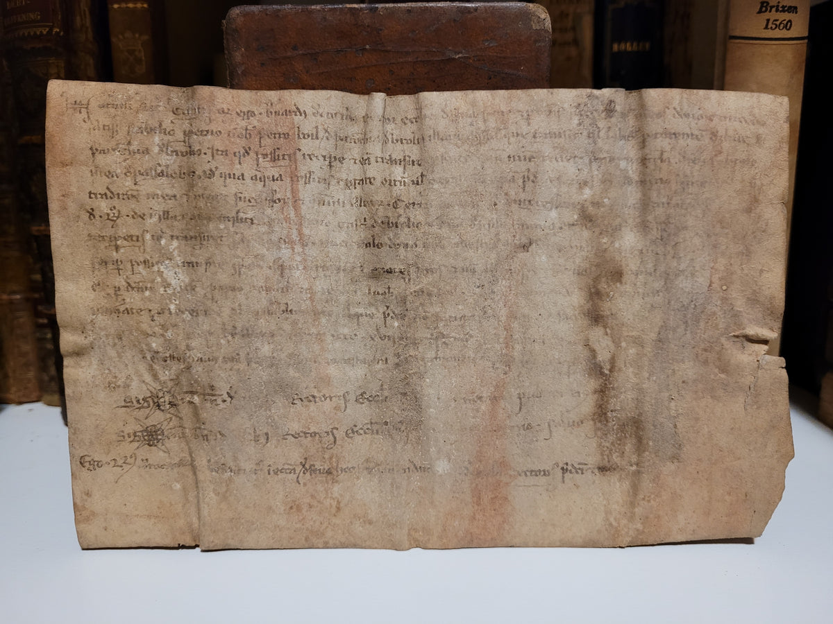 Medieval Charter. Manuscript on Parchment, 13th Century – That Guy With ...