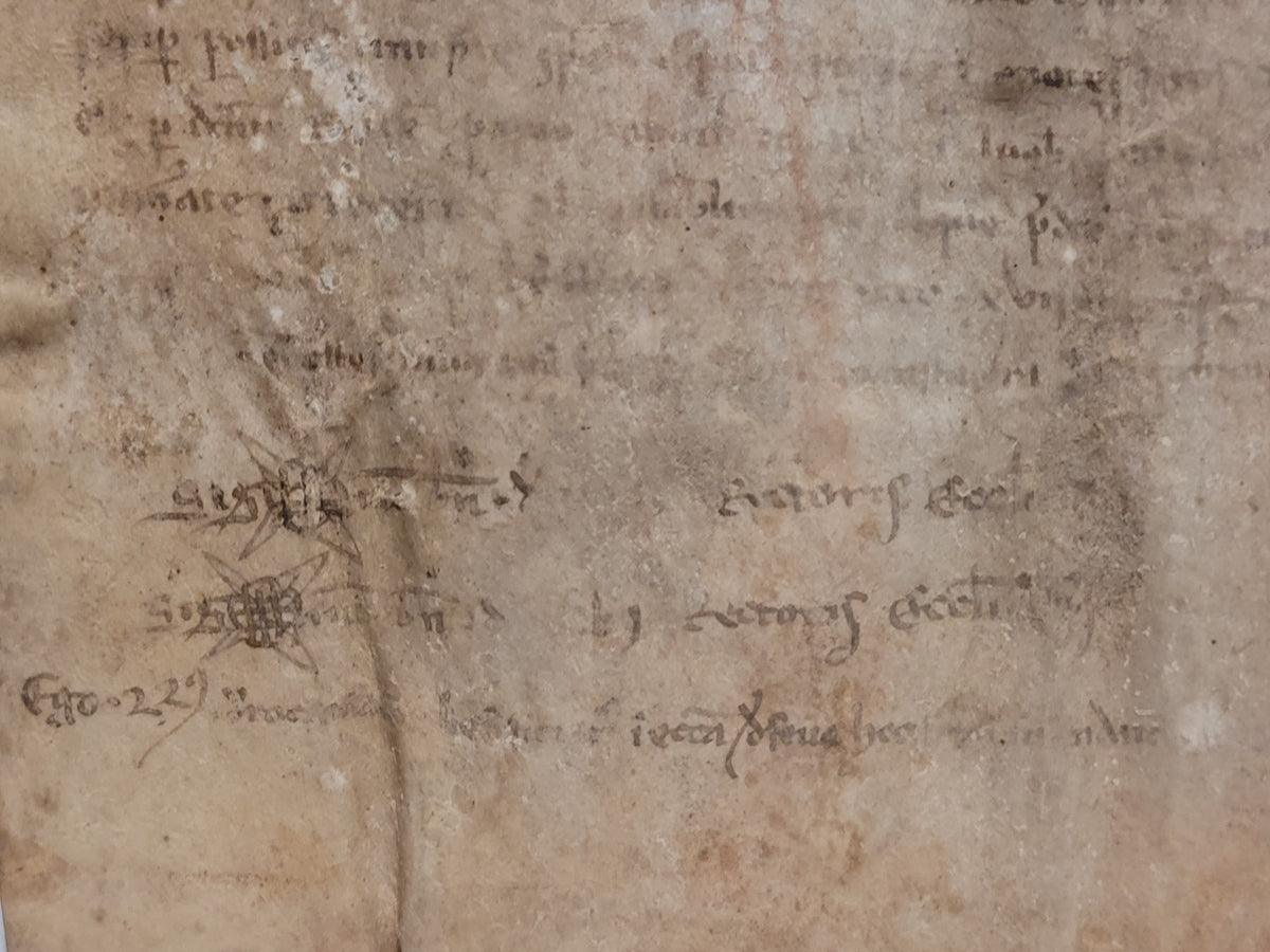 Medieval Charter. Manuscript on Parchment, 13th Century – That Guy With ...